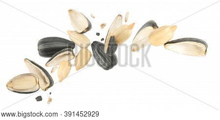 Sunflower Seeds Hull Image & Photo (Free Trial) | Bigstock