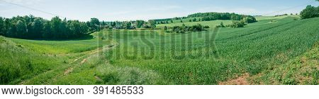 Rural Grass Field Images, Illustrations & Vectors (Free) - Bigstock