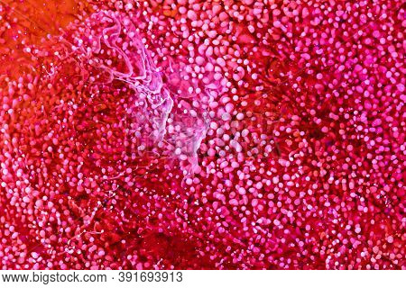 Epoxy Resin Texture Image & Photo (Free Trial) | Bigstock