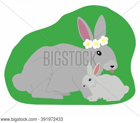 Domestic Rabbit Mom Vector & Photo (Free Trial) | Bigstock