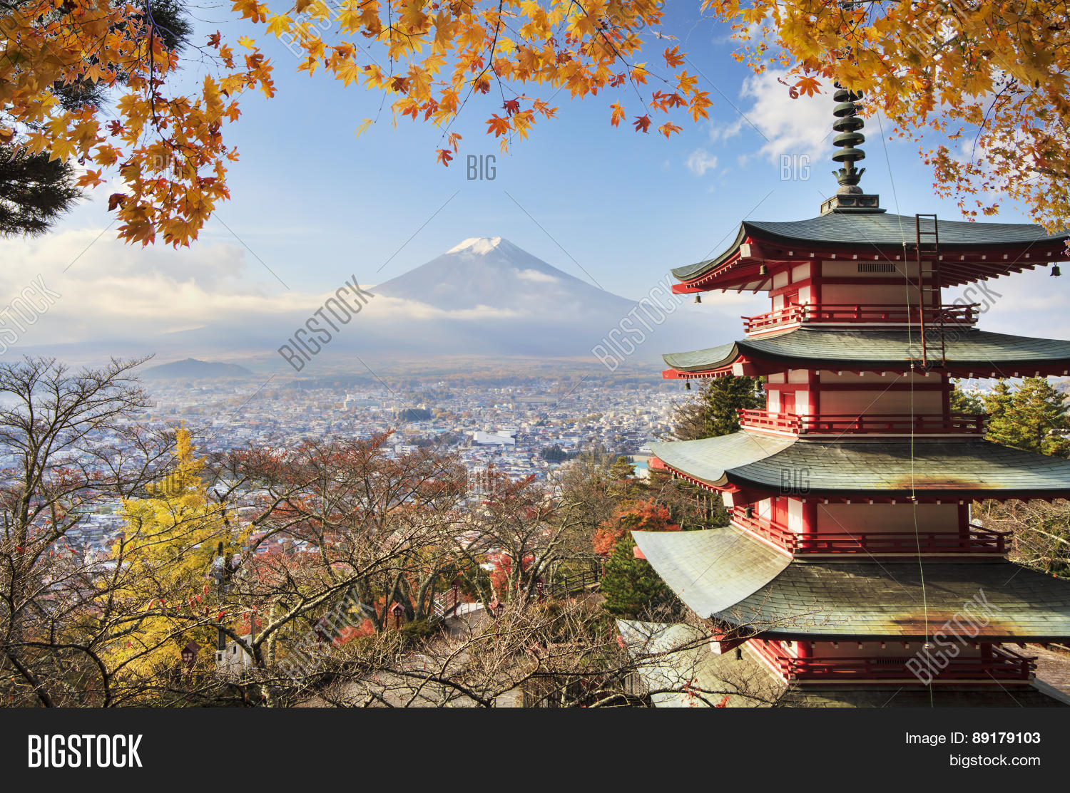 Mt. Fuji Fall Colors Image & Photo (Free Trial) | Bigstock