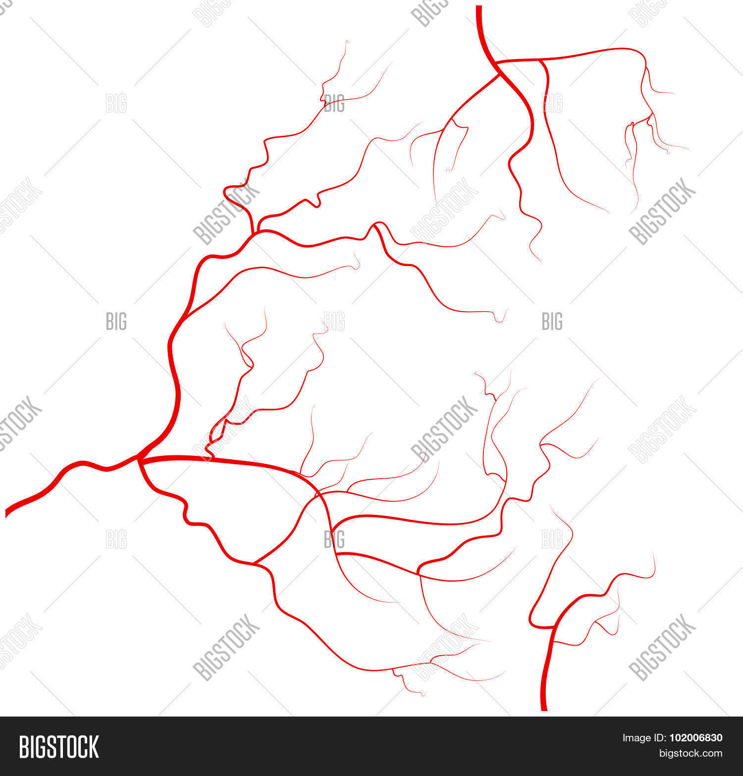 Set Human Eye Veins, Vector & Photo (Free Trial) | Bigstock