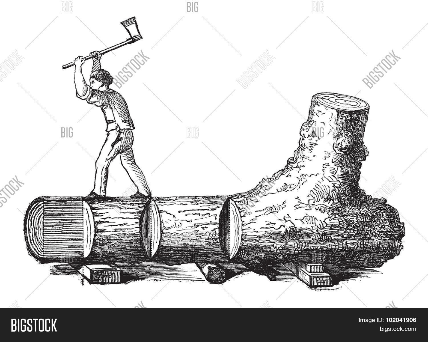 How Tree Made Into Vector & Photo (Free Trial) | Bigstock