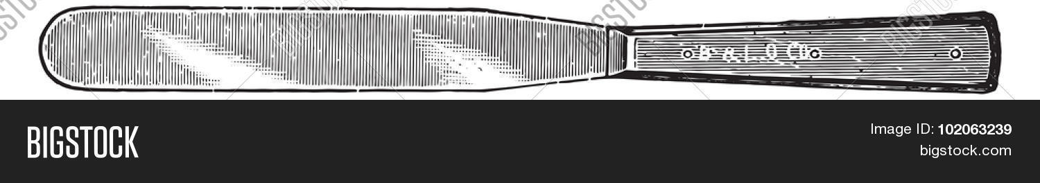 Spatula Used Searing Vector & Photo (Free Trial) | Bigstock