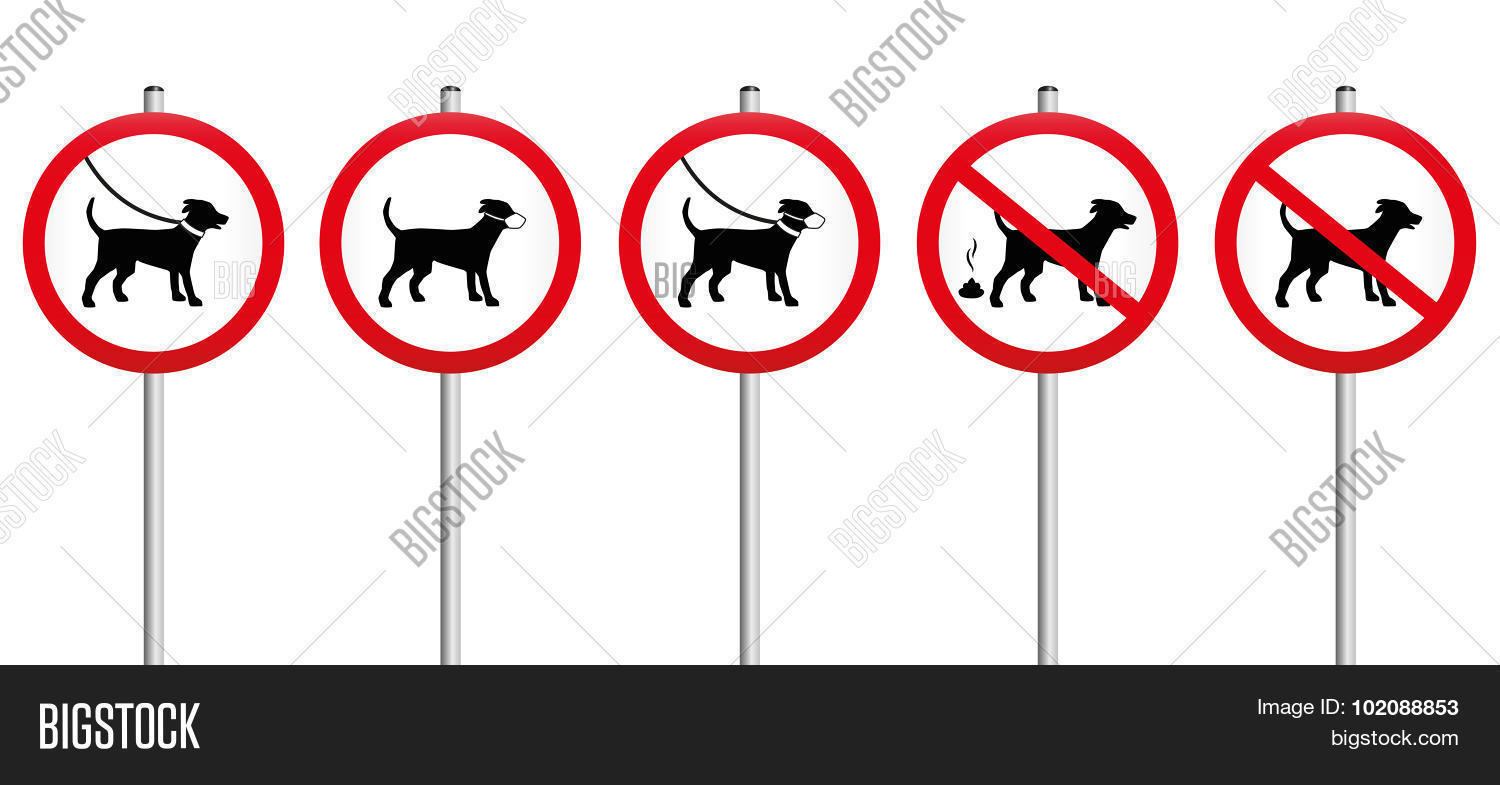 Dogs On Leads Muzzle Vector & Photo (Free Trial) | Bigstock