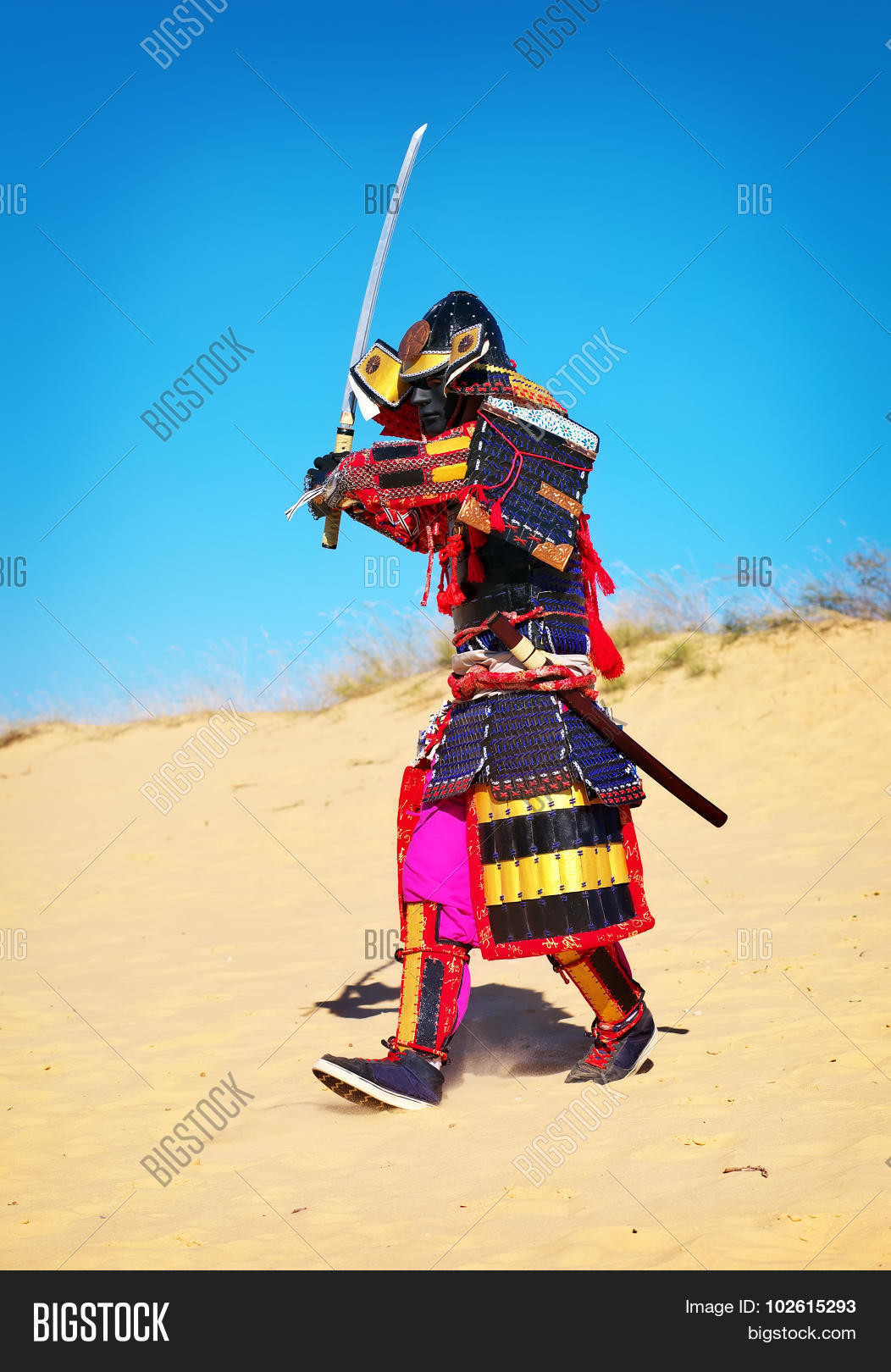 Man Samurai Costume Image & Photo (Free Trial) | Bigstock