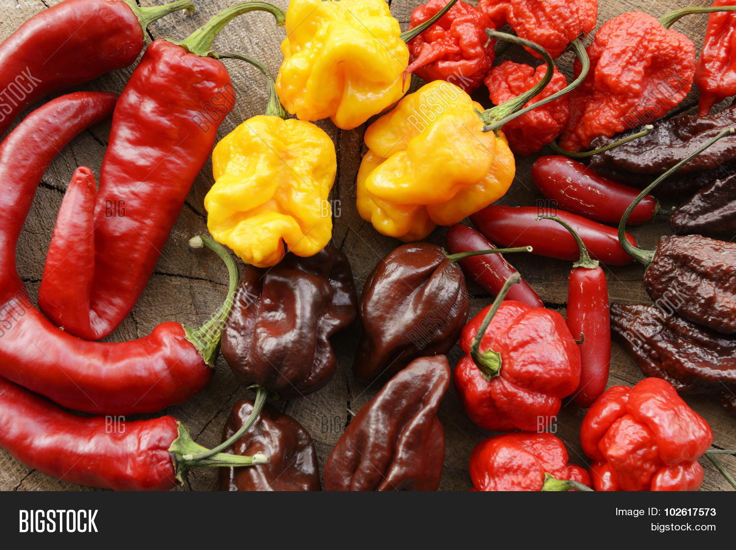 Various Hot Peppers Image & Photo (Free Trial) | Bigstock