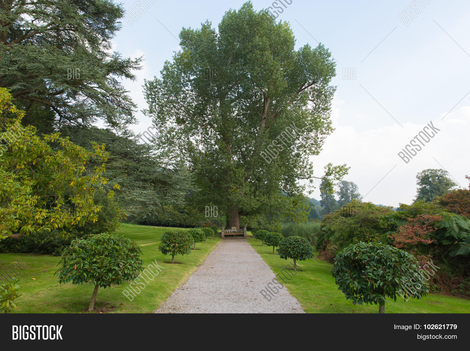 Estate Grounds Image & Photo (Free Trial) | Bigstock