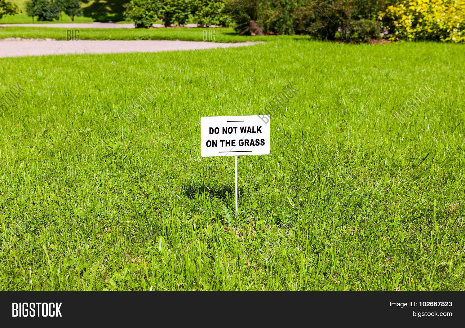 Notice Board On Lawn Image & Photo (Free Trial) | Bigstock