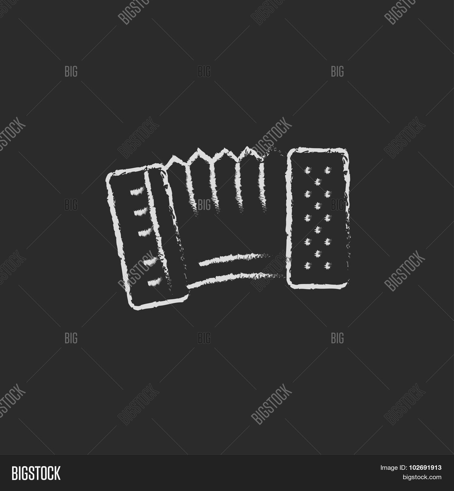 Accordion Hand Drawn Vector & Photo (Free Trial) | Bigstock