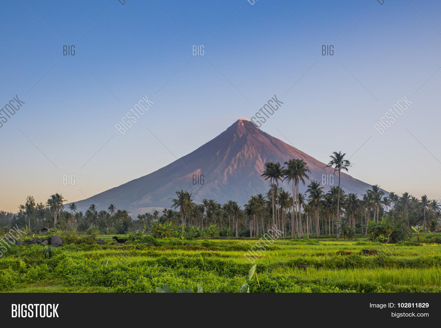 Vulcano Mount Mayon Image & Photo (Free Trial) | Bigstock