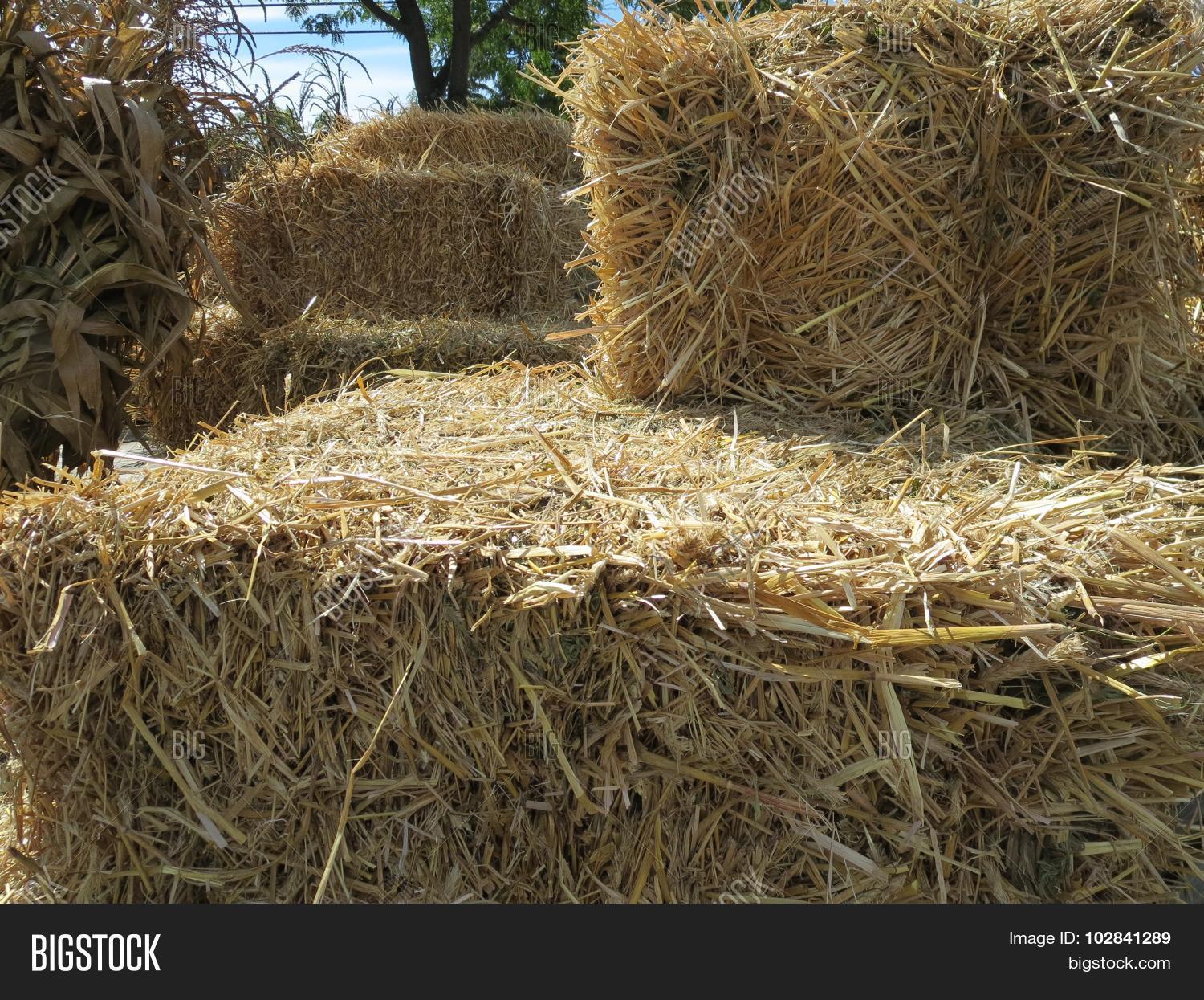 Close- Undecorated Hay Image & Photo (Free Trial) | Bigstock