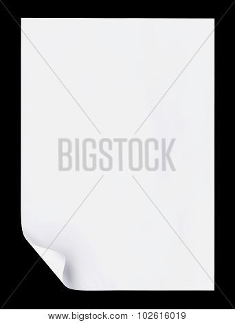 White Empty A4 Paper Image & Photo (Free Trial) | Bigstock