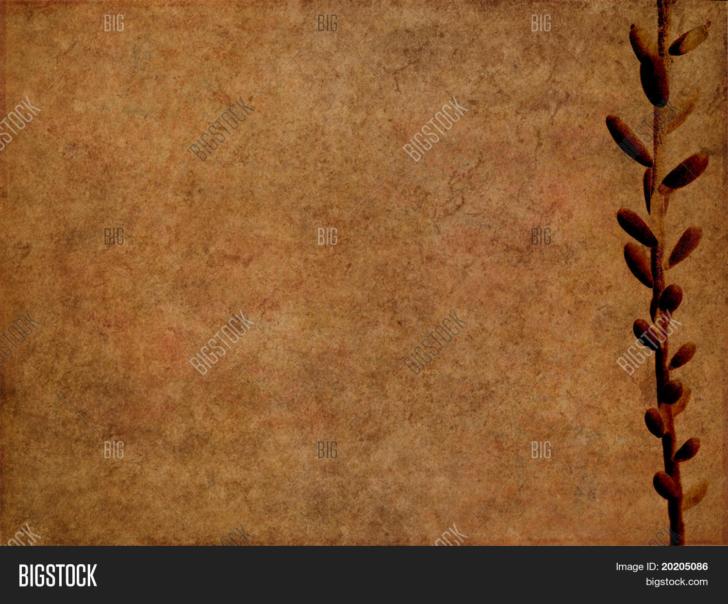 Beautiful Brown Image & Photo (Free Trial) | Bigstock