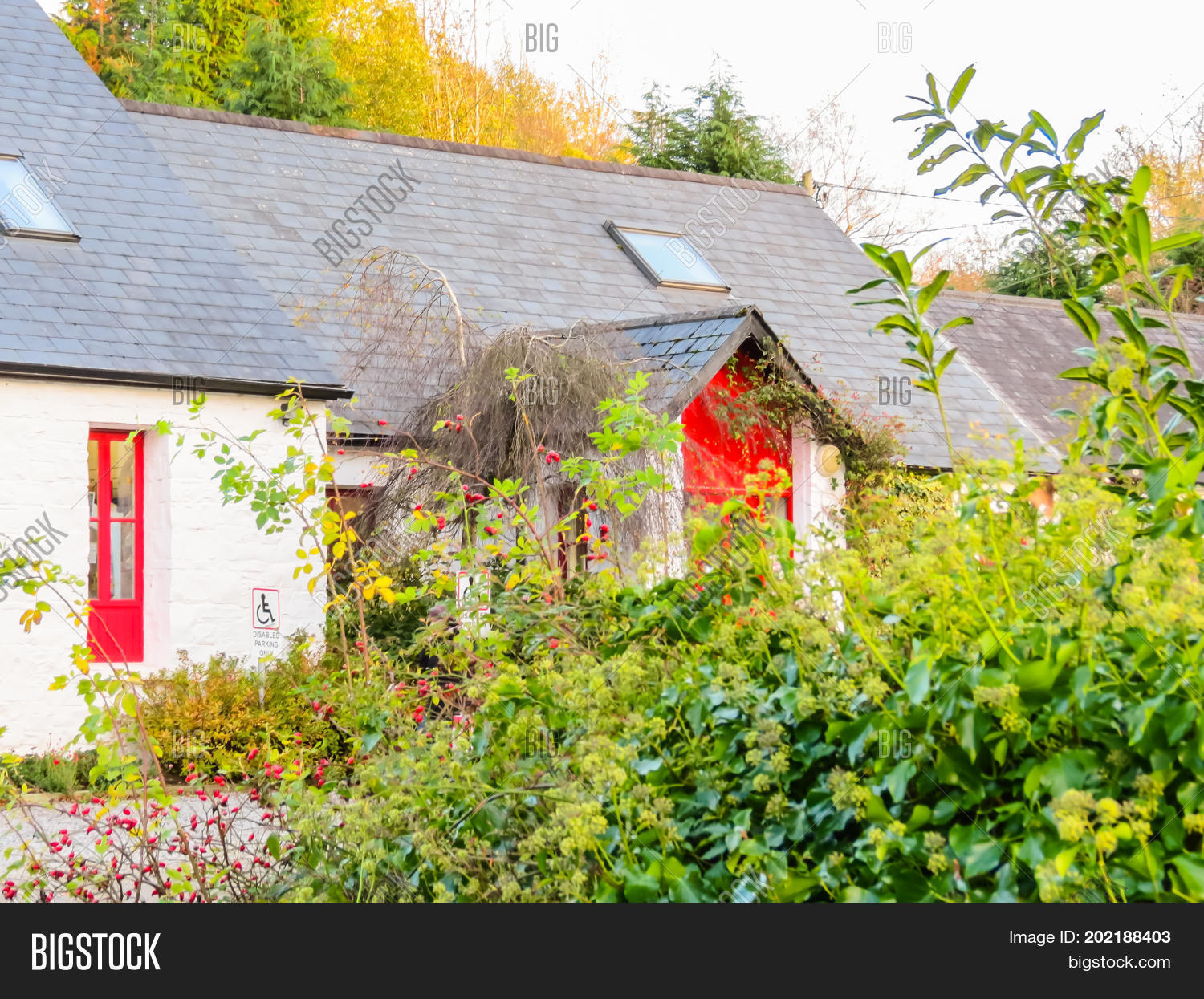 Avoca Mill, Oldest Image & Photo (Free Trial) | Bigstock