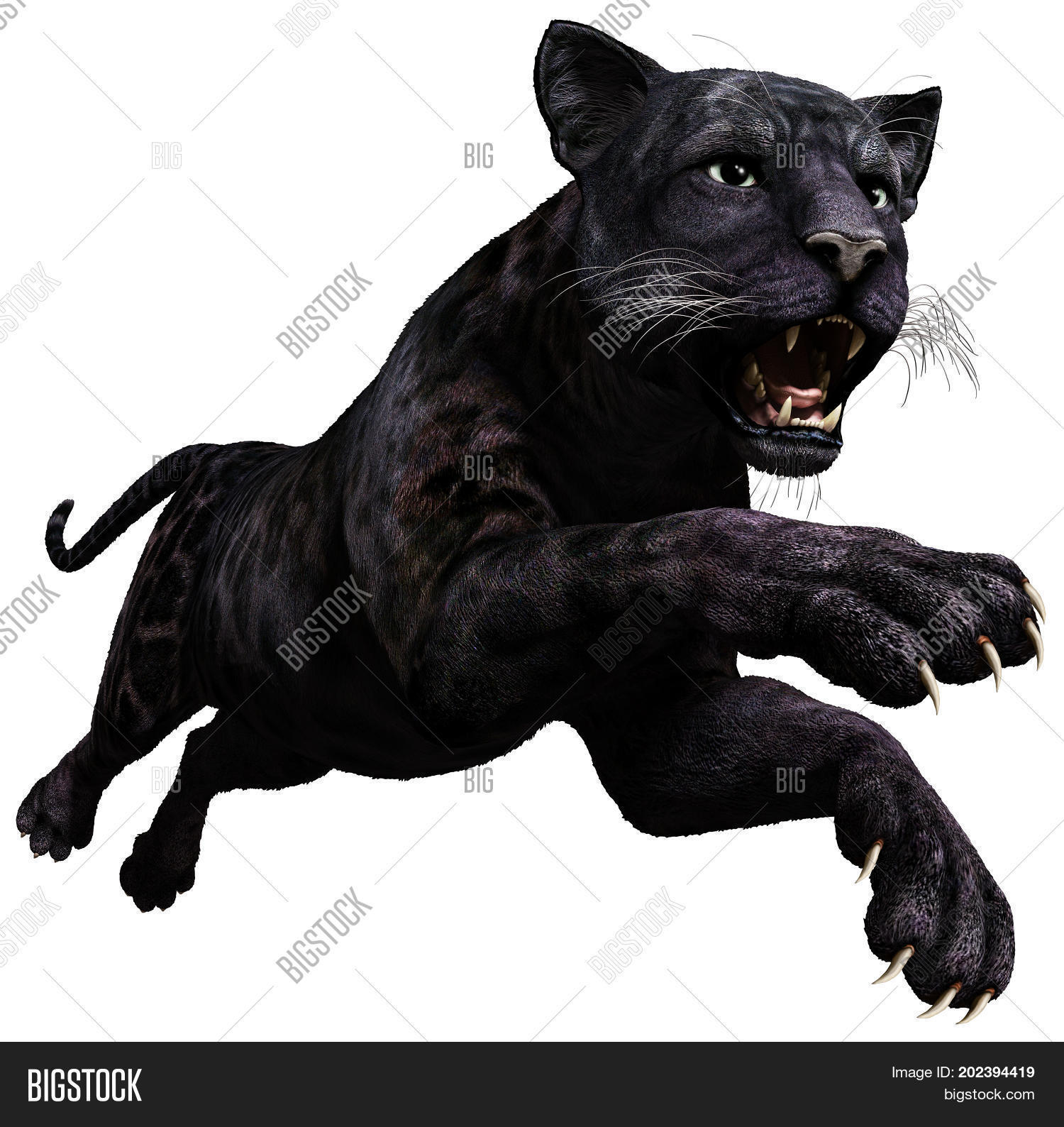 Black Panther Attacking