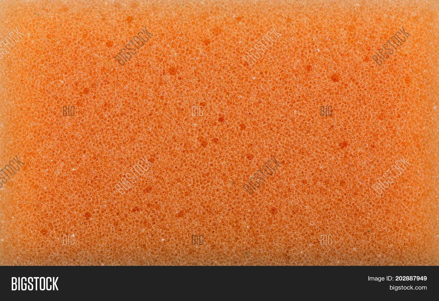 Sponge Texture Image & Photo (Free Trial) | Bigstock
