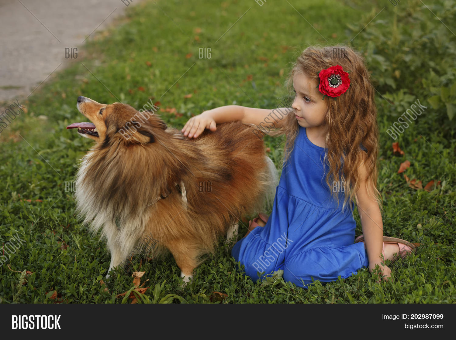 Cute Little Girl Dog Image & Photo (Free Trial) | Bigstock