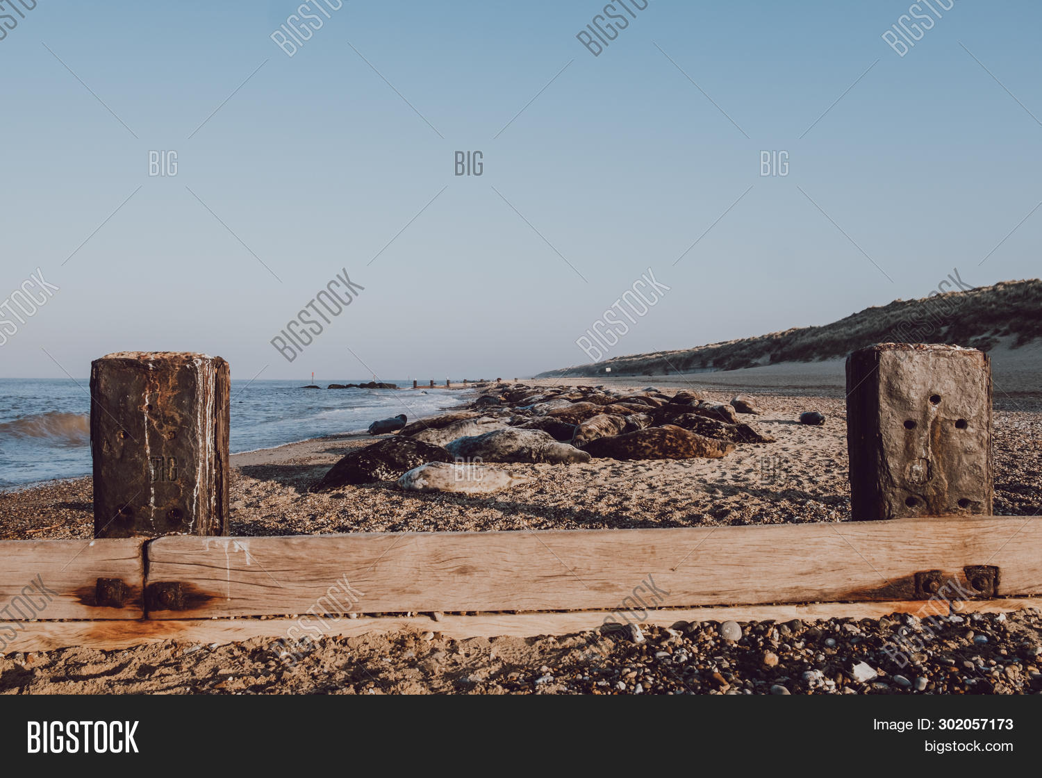 View Over Fence Large Image & Photo (Free Trial) | Bigstock