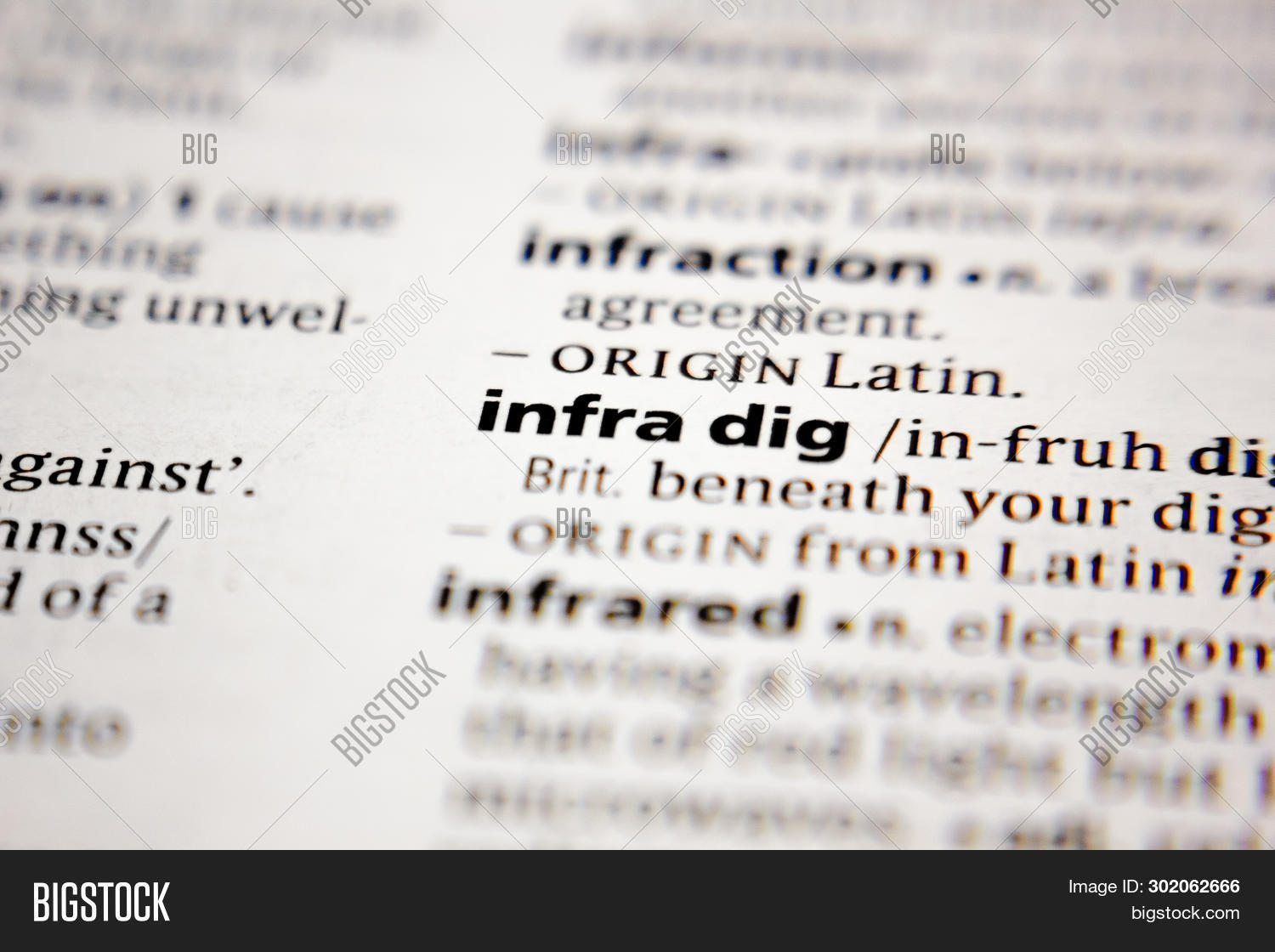 Word Phrase Infra Dig Image & Photo (Free Trial) | Bigstock