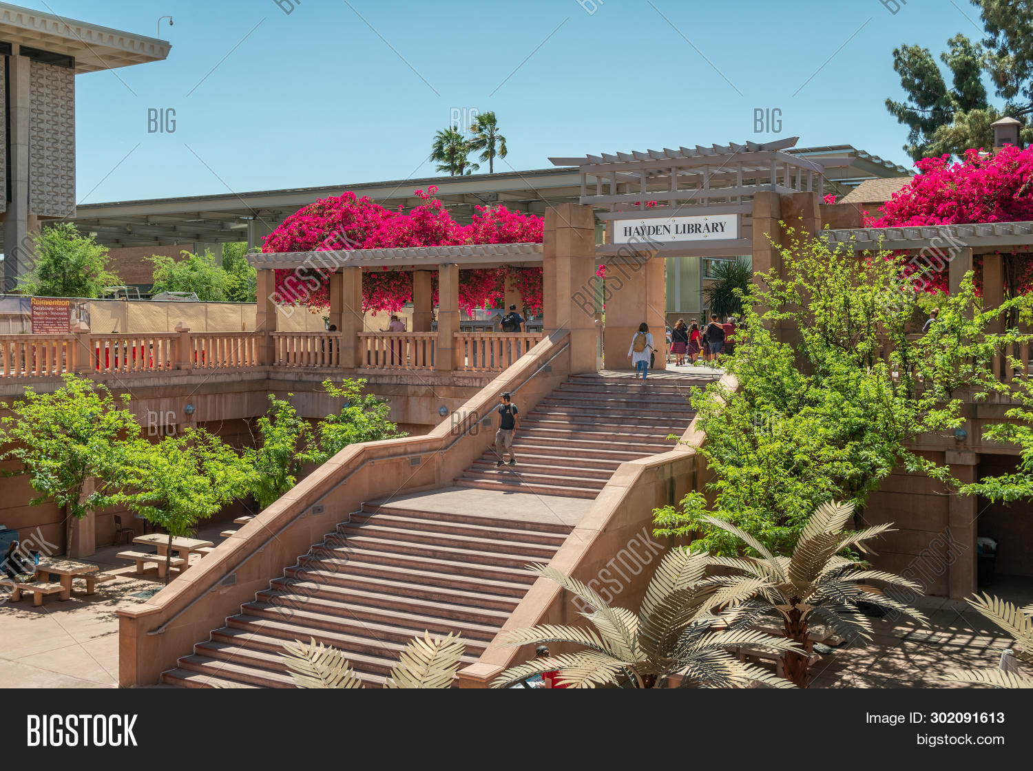 Hayden Library Arizona Image & Photo (Free Trial) | Bigstock