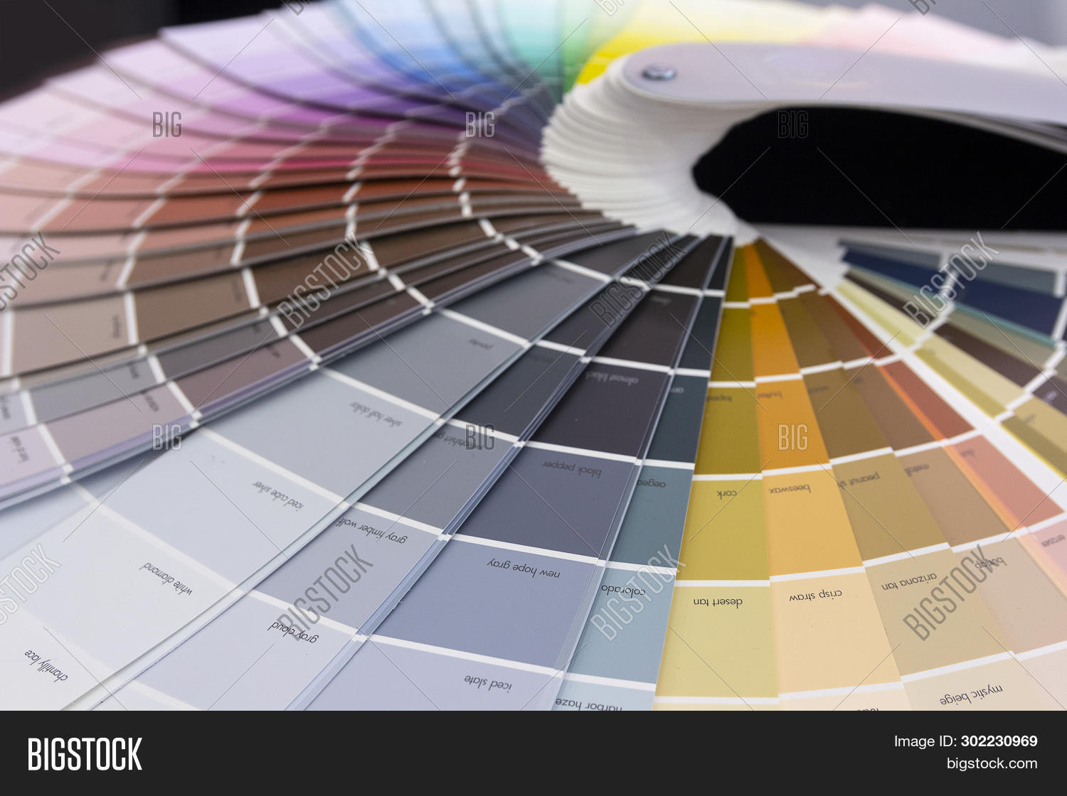 Colorful Mesh Color Image & Photo (Free Trial) | Bigstock