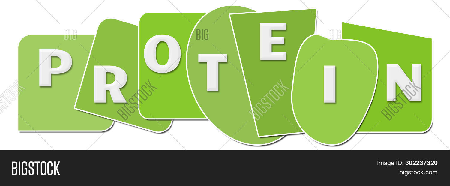 Protein Text Written Image & Photo (Free Trial) | Bigstock