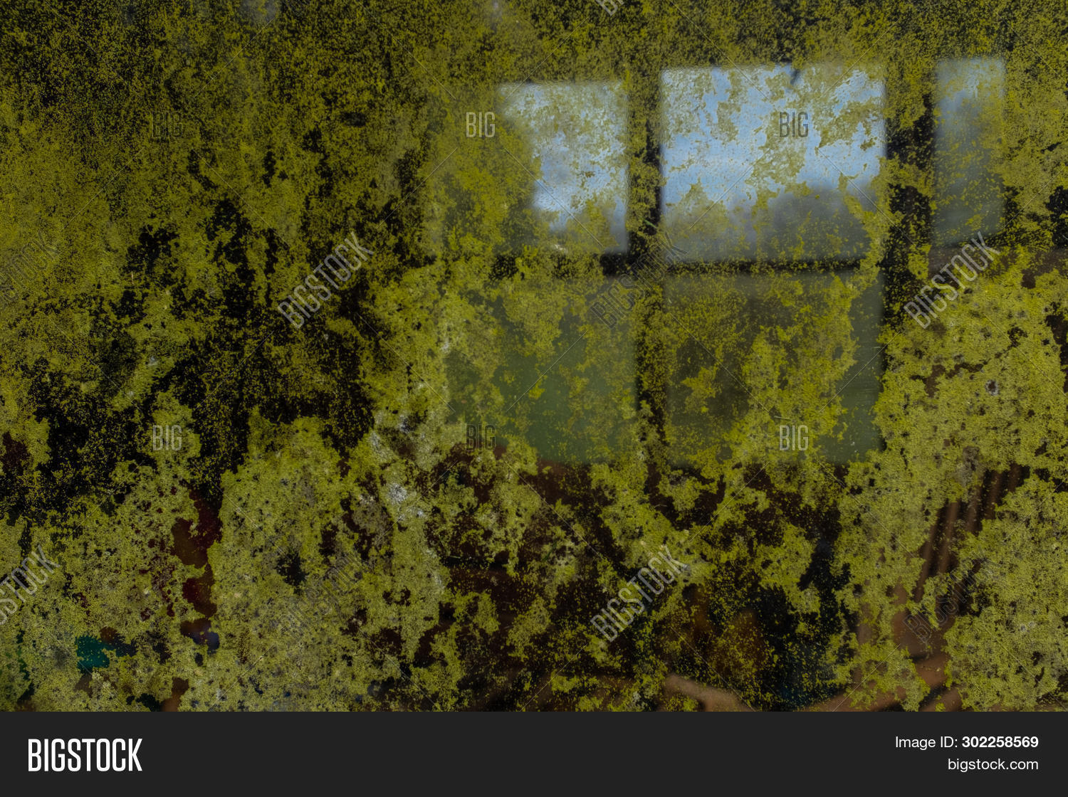 Close Grimy Window Image & Photo (Free Trial) | Bigstock