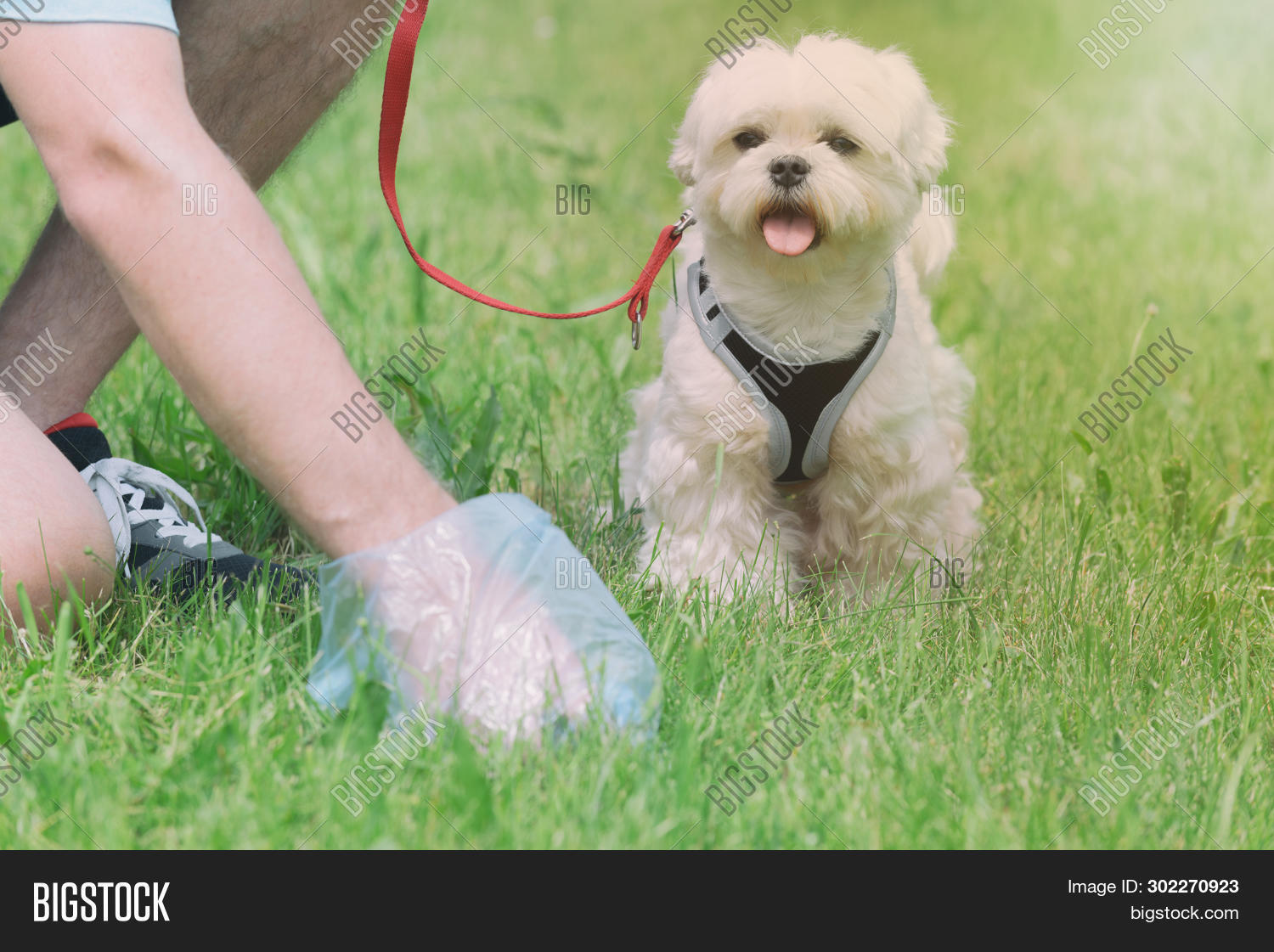 Owner Cleaning After Image & Photo (Free Trial) | Bigstock