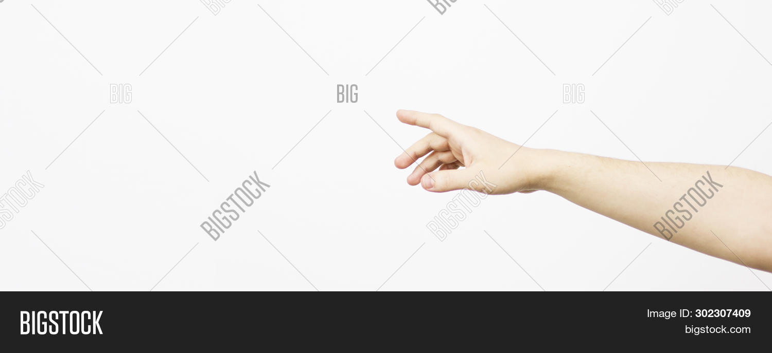 Woman's Hand, White Image & Photo (Free Trial) | Bigstock