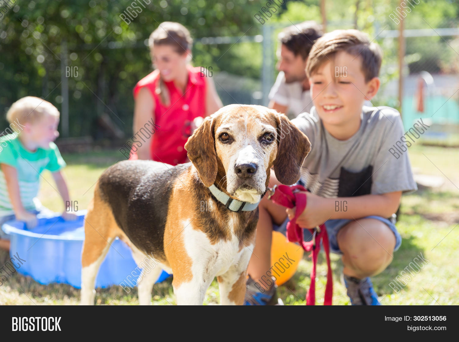 Young Boy Petting Dog Image & Photo (Free Trial) | Bigstock