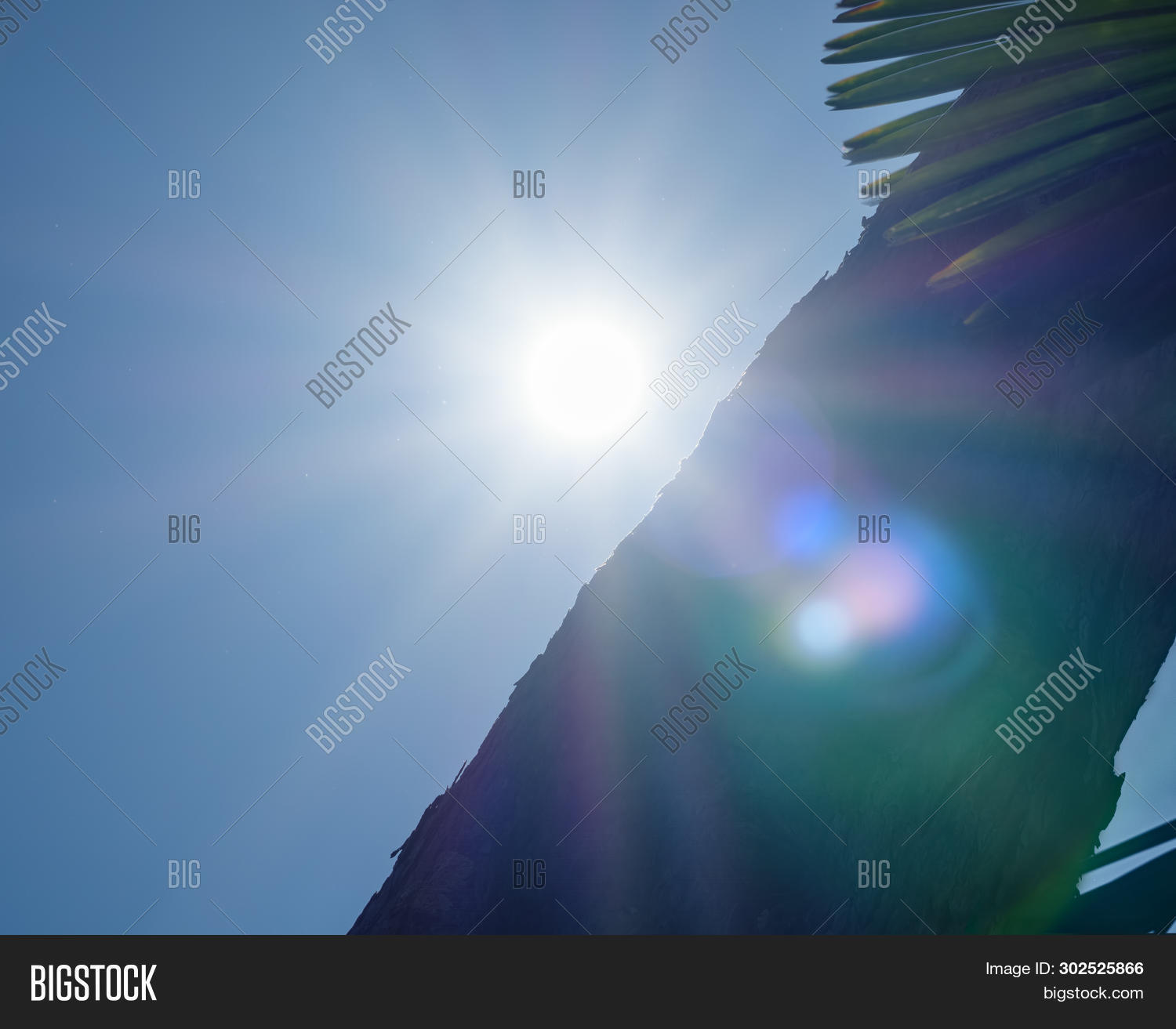 Bright Sun Rays Clear Image & Photo (Free Trial) | Bigstock