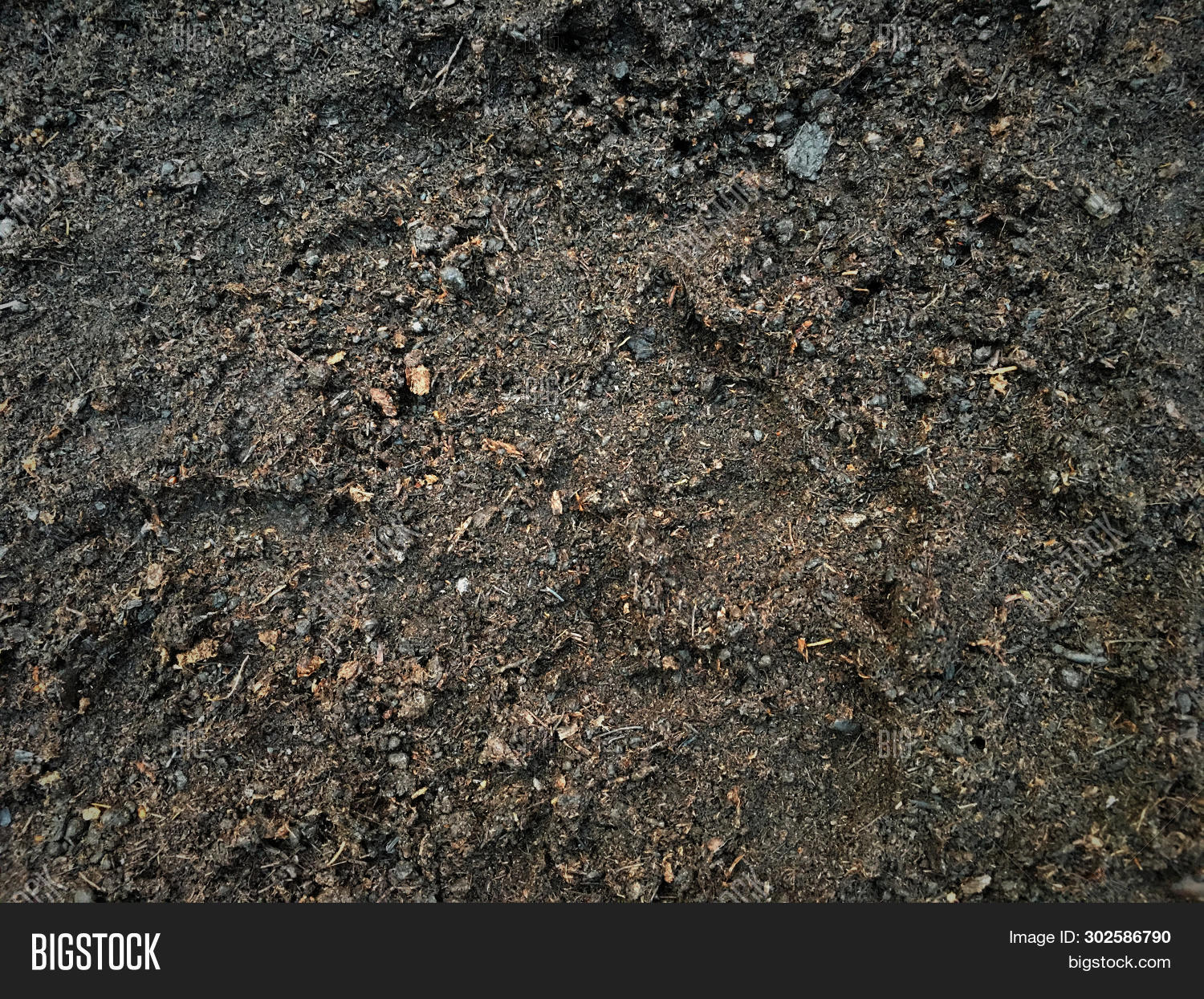 Realistic Wet Soil Image & Photo (Free Trial) | Bigstock