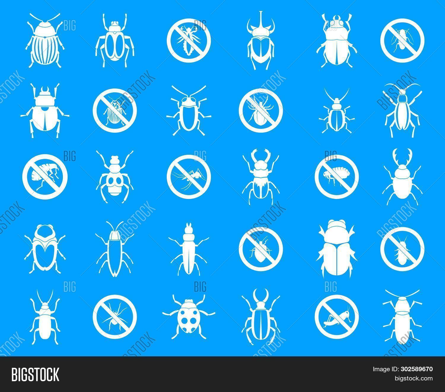 Bugs Icon Set. Simple Image & Photo (Free Trial) | Bigstock