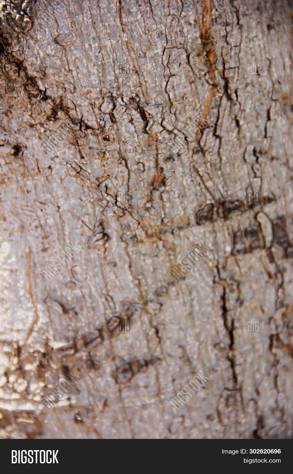 Texture Surface Old Image & Photo (Free Trial) | Bigstock