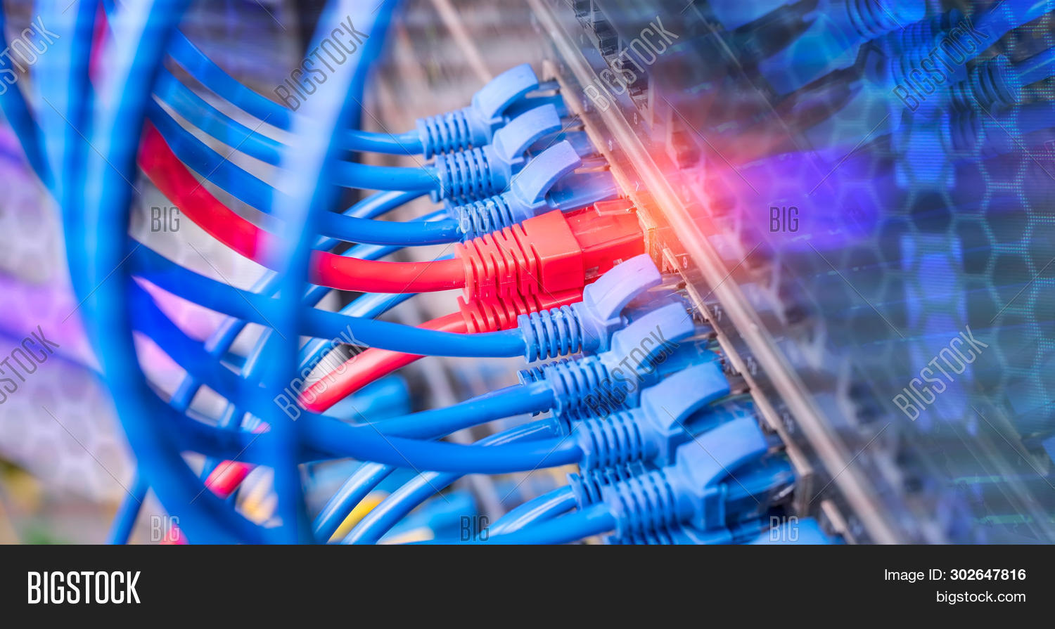 Network Cables Switch Image & Photo (Free Trial) | Bigstock