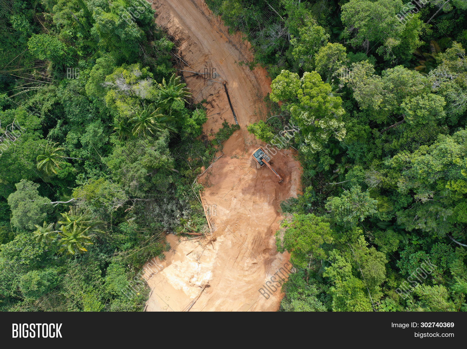 Deforestation. Logging Image & Photo (Free Trial) | Bigstock