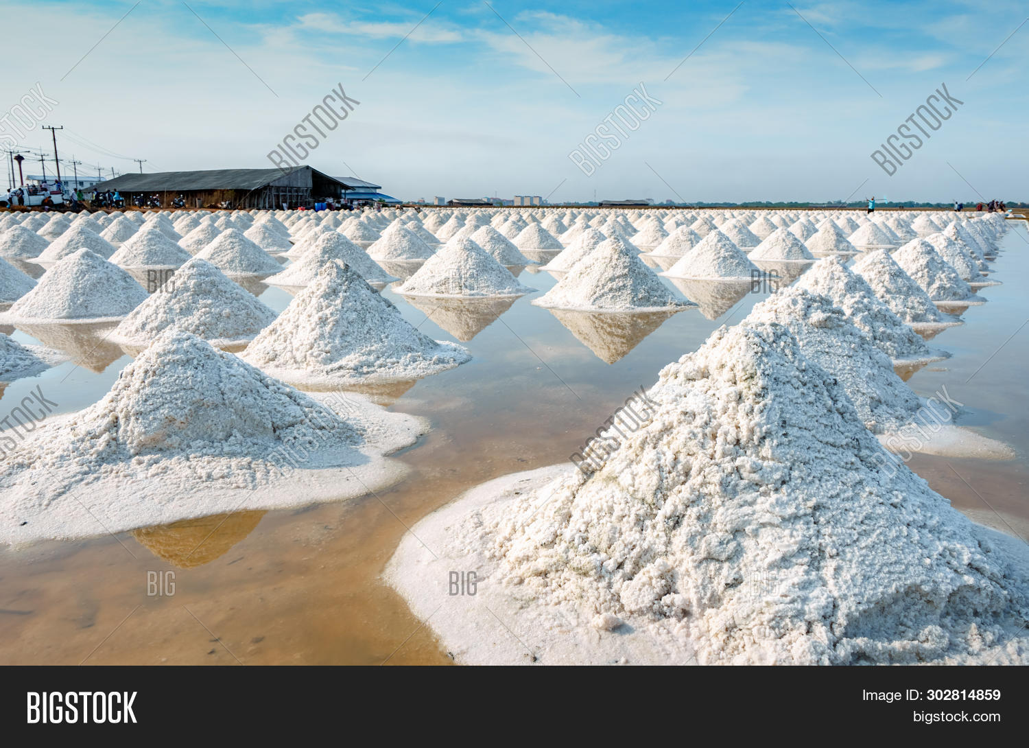 Sea Salt Farm Barn Image & Photo (Free Trial) | Bigstock