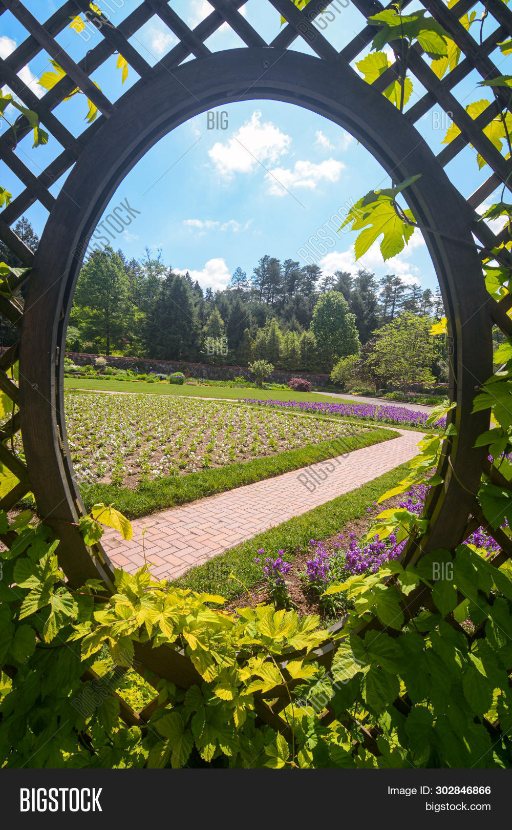 Lattice Arbor Window Image & Photo (Free Trial) | Bigstock