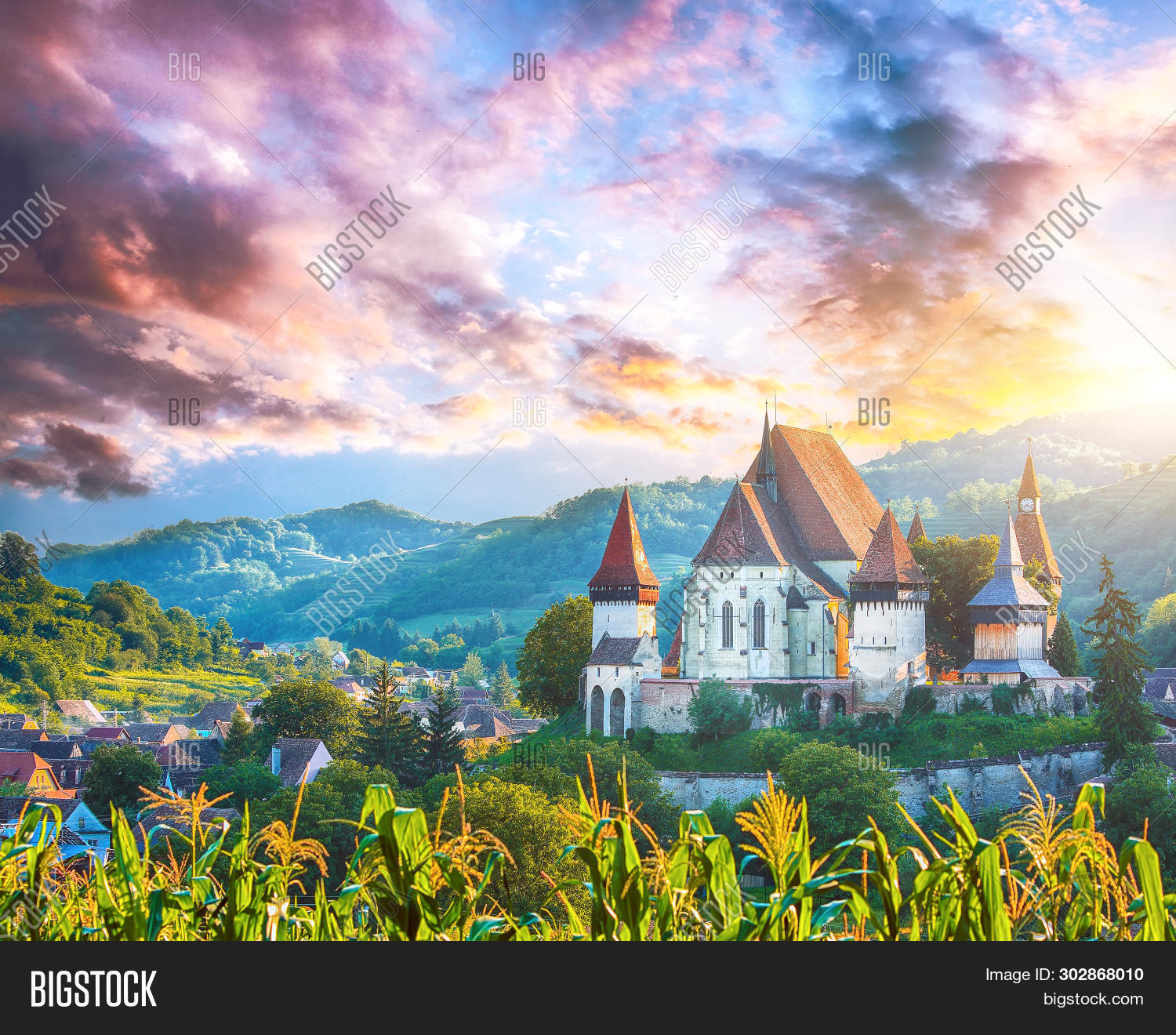 Beautiful Medieval Image & Photo (Free Trial) | Bigstock