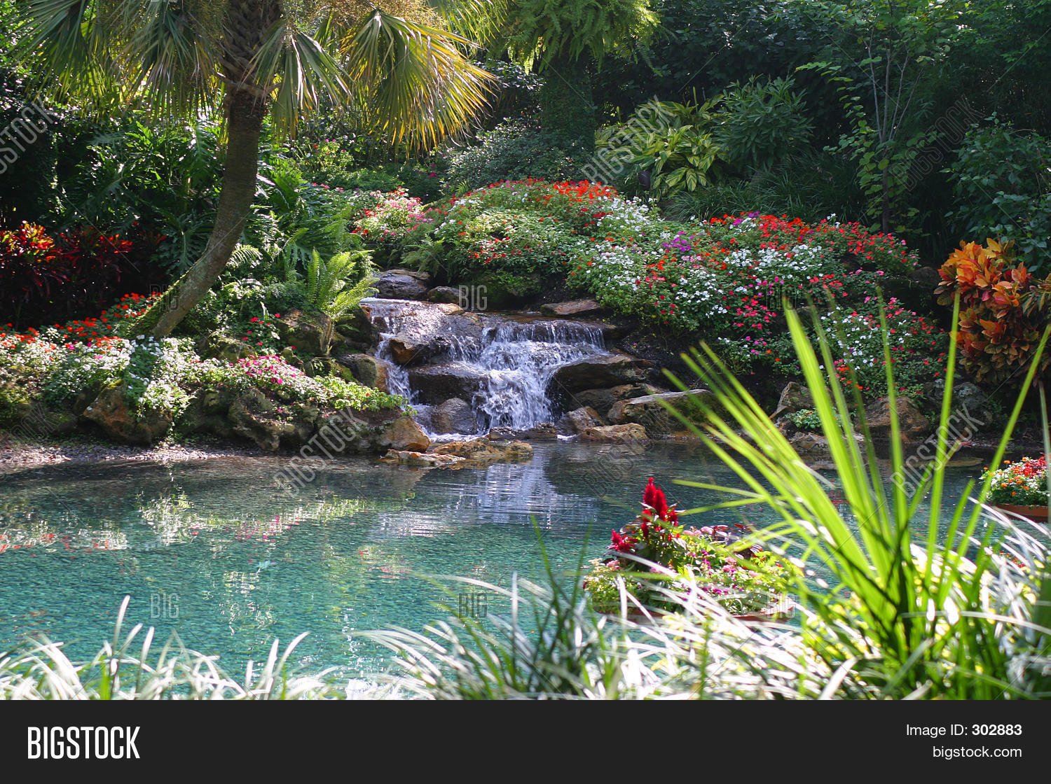 Tropical Pond Image & Photo (Free Trial) | Bigstock