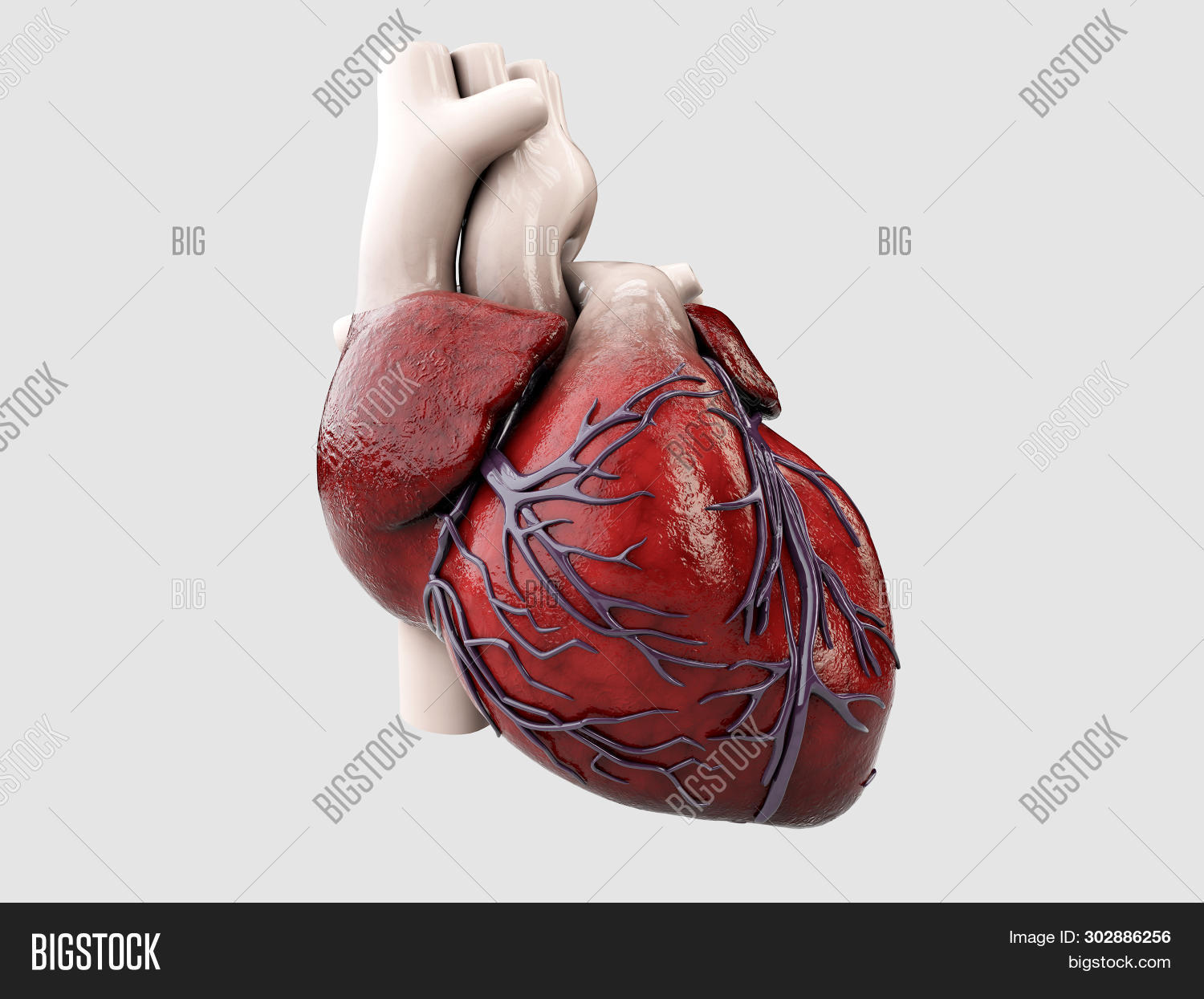 3d Illustration Image & Photo (Free Trial) | Bigstock