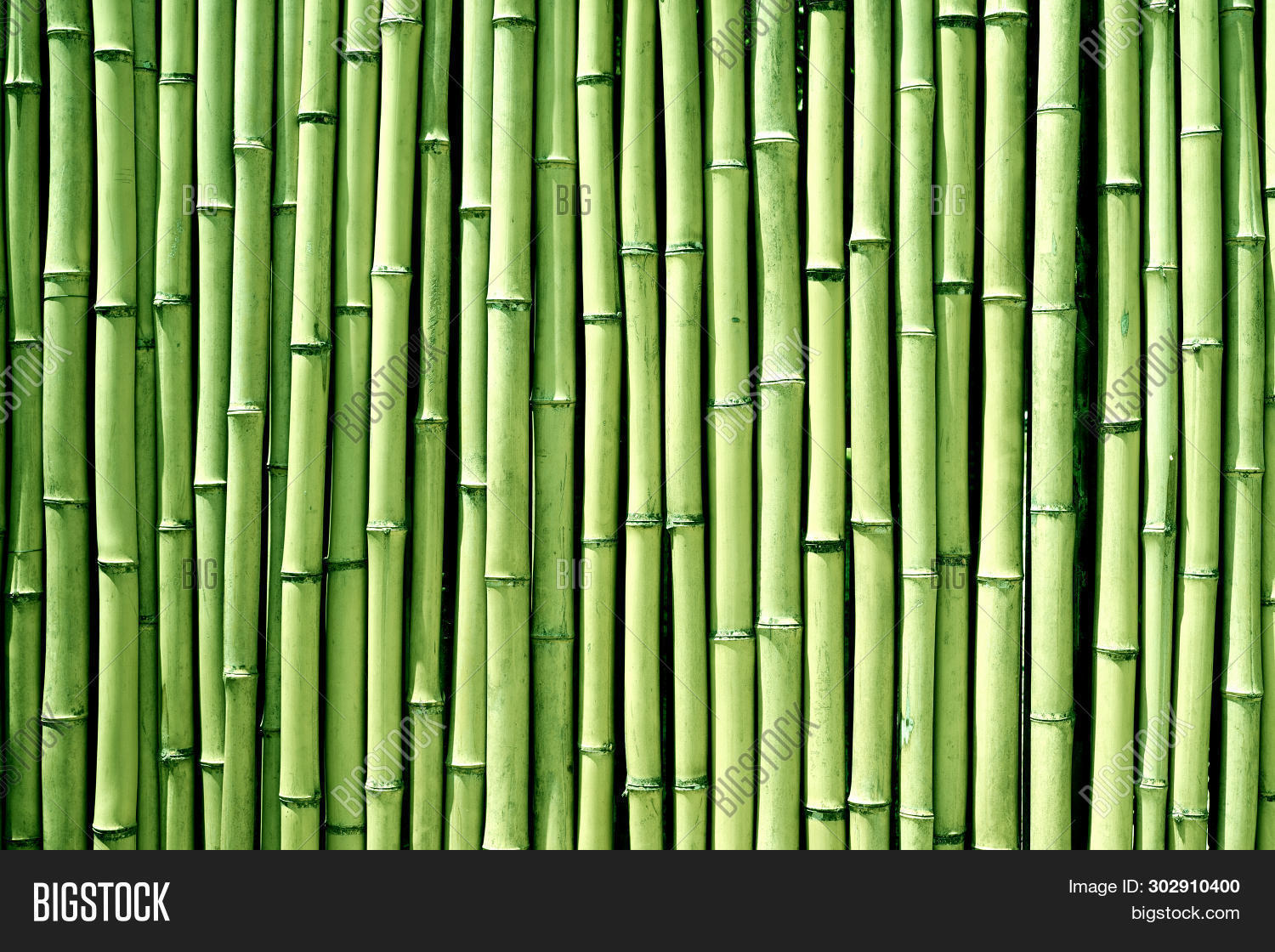 Green Bamboo Wood Wall Image & Photo (Free Trial) | Bigstock