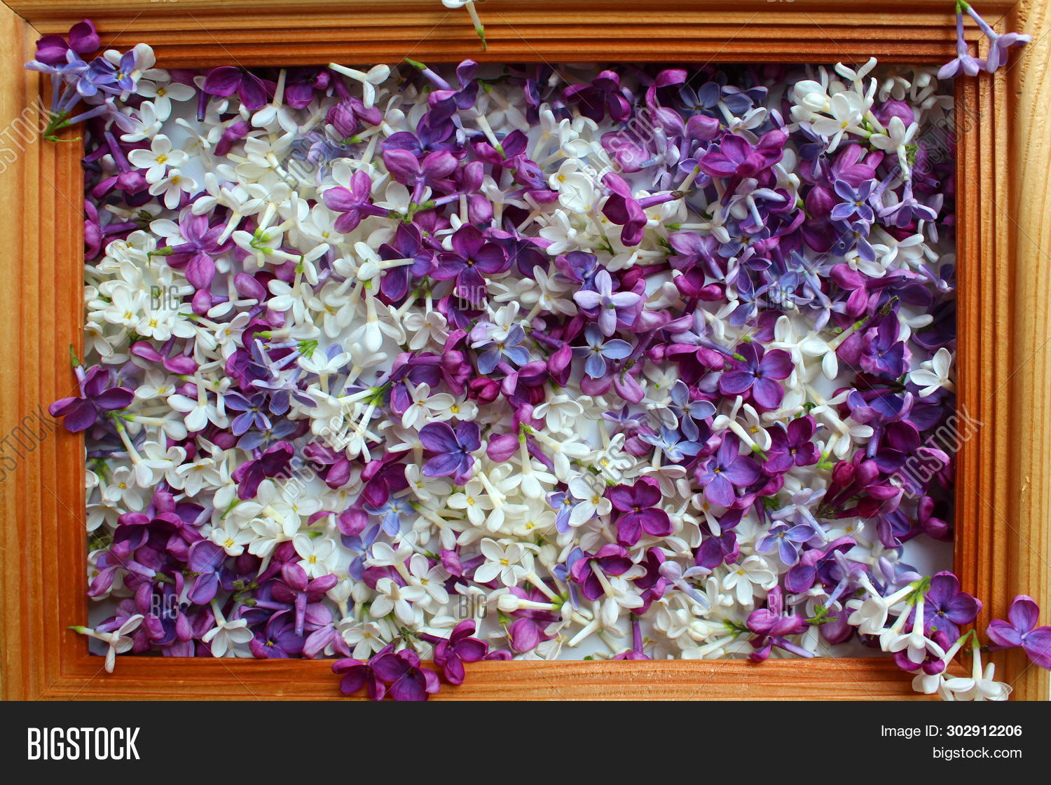 Texture Small Flowers Image & Photo (Free Trial) | Bigstock