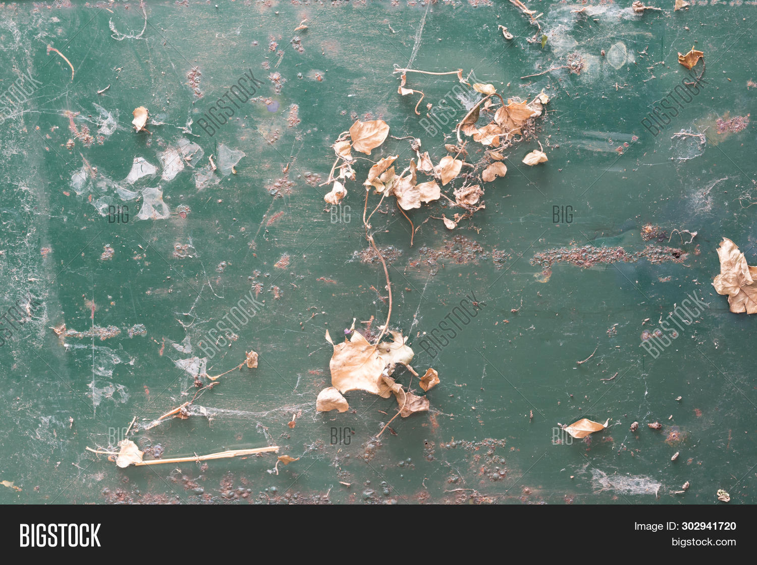 Bottom Rusted Box Image & Photo (Free Trial) | Bigstock