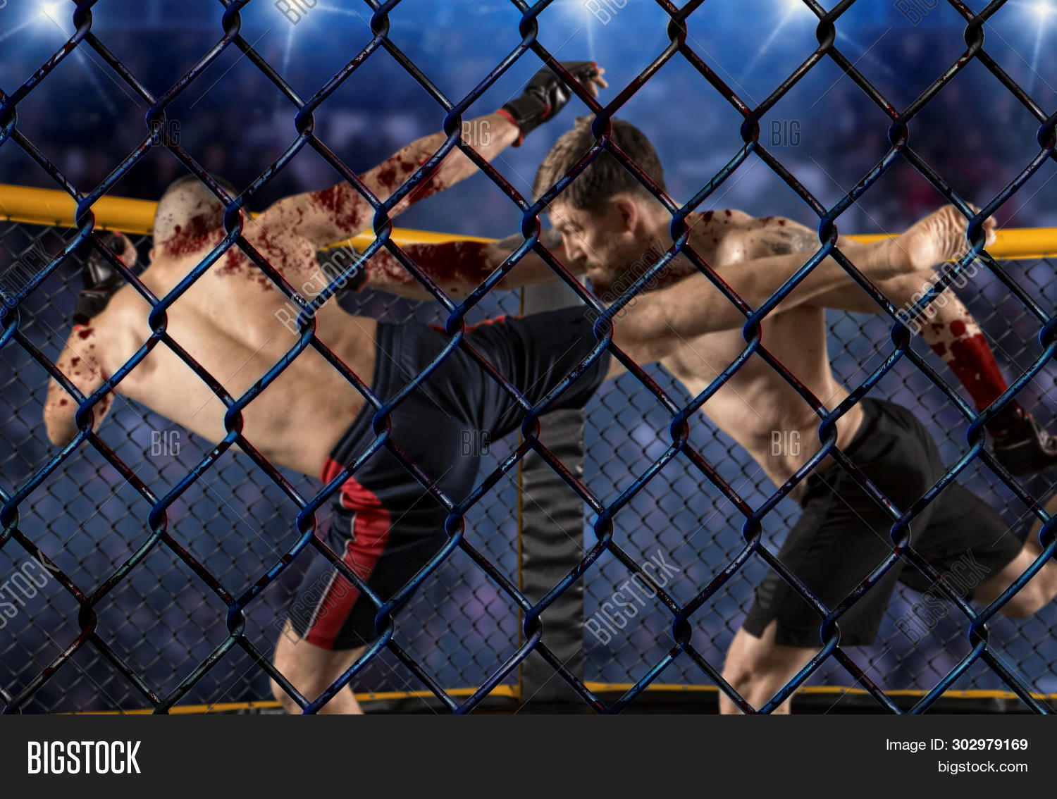 MMA Boxers Fighters Image & Photo (Free Trial) | Bigstock