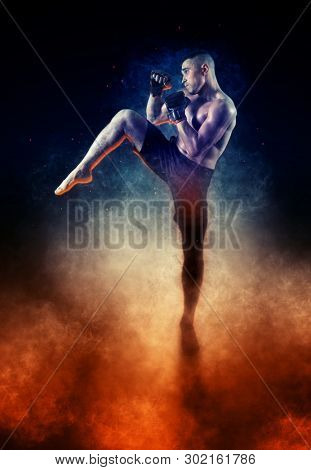 MMA Male Fighter Image & Photo (Free Trial) | Bigstock