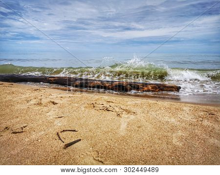 ภาพและภาพถ่าย (ทดลองใช้ฟรี) | Bigstock