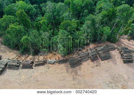 Deforestation. Logging Image & Photo (Free Trial) | Bigstock