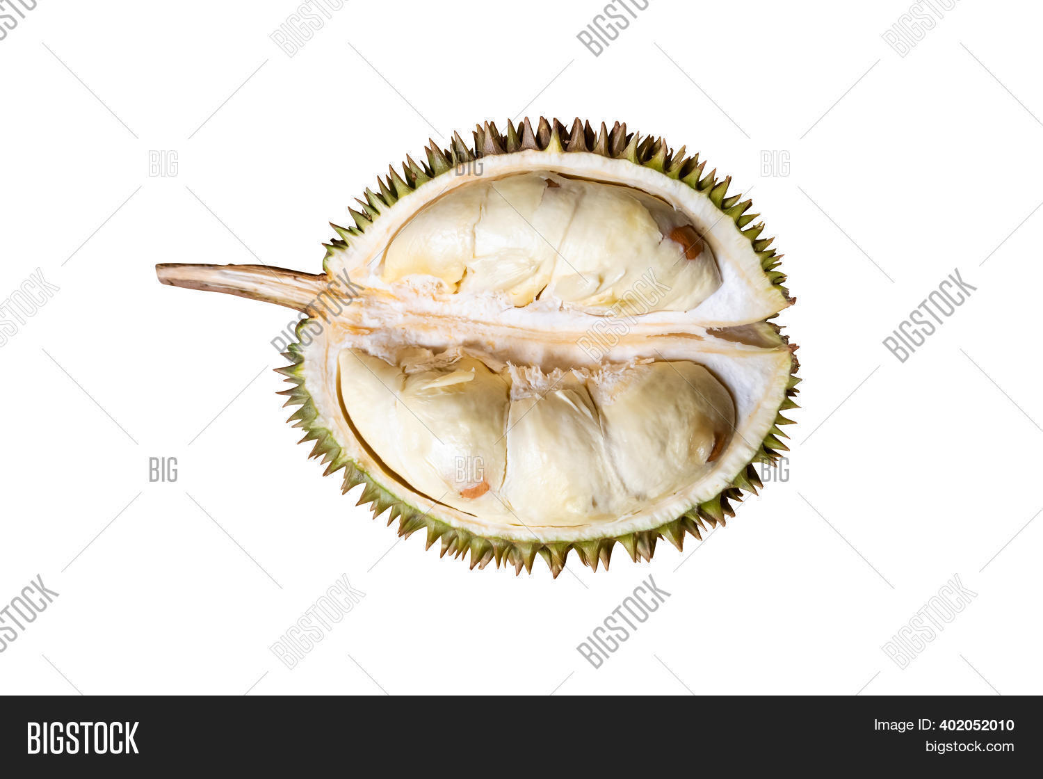 Local Durian Varieties Image & Photo (Free Trial) | Bigstock